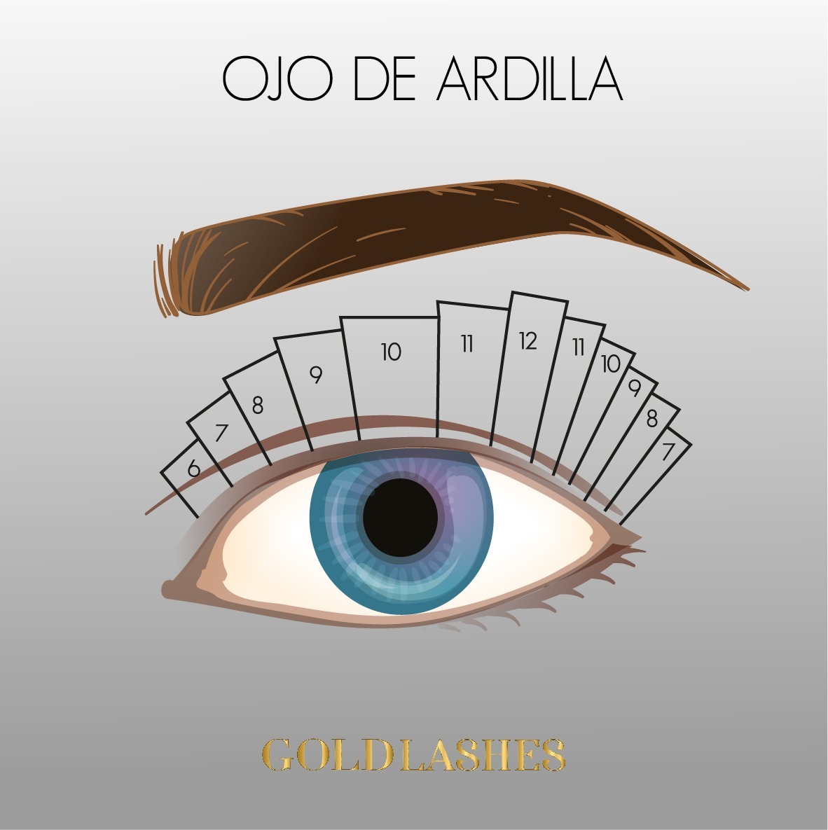 LECCION 4.9 DISEÑO ARDILLA - Gold Store