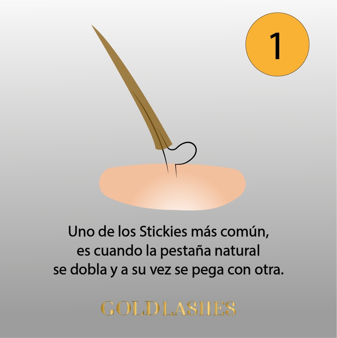 LECCION 5.4 STICKIES - Gold Store