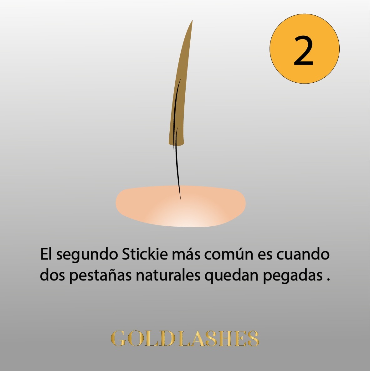 LECCION 5.4 STICKIES - Gold Store