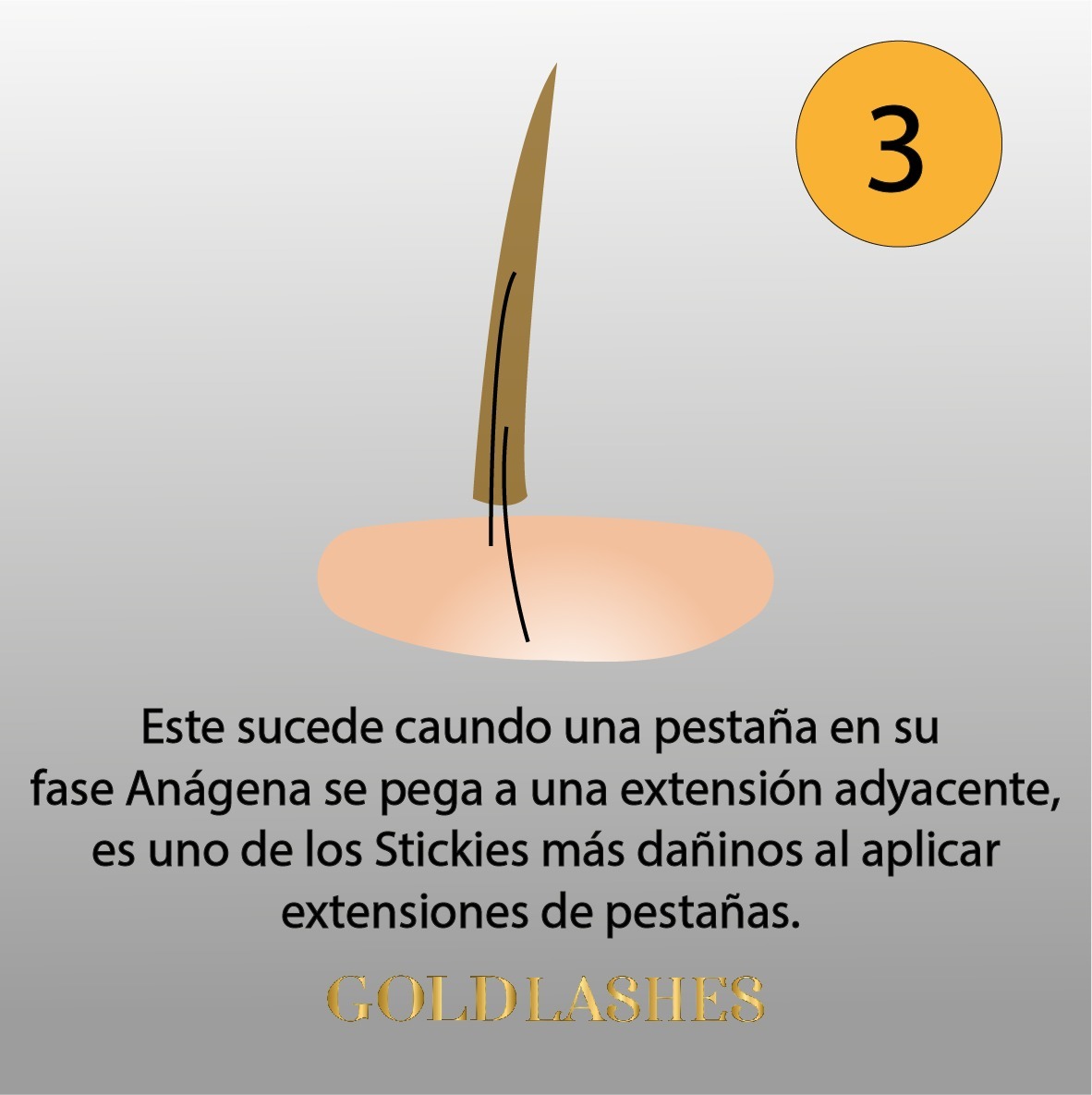 LECCION 5.4 STICKIES - Gold Store